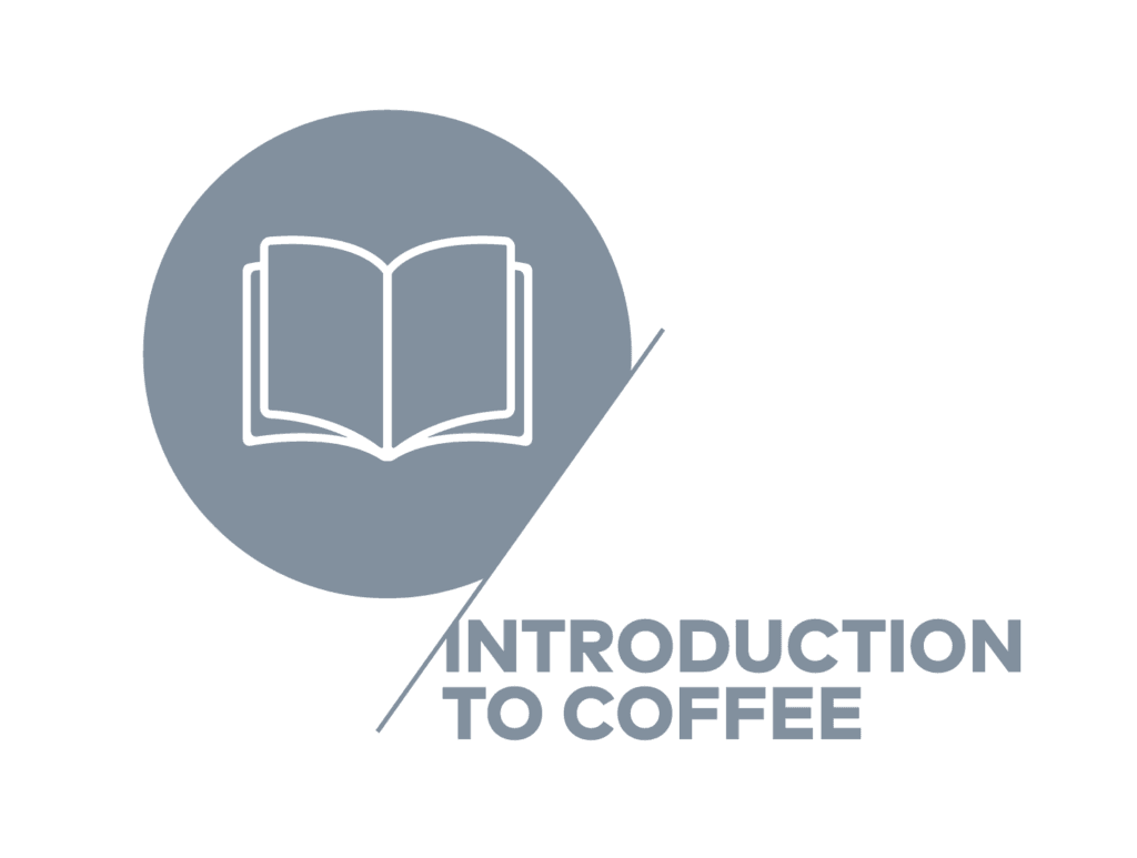 Introduction to Coffee Module - The Ore Coffee